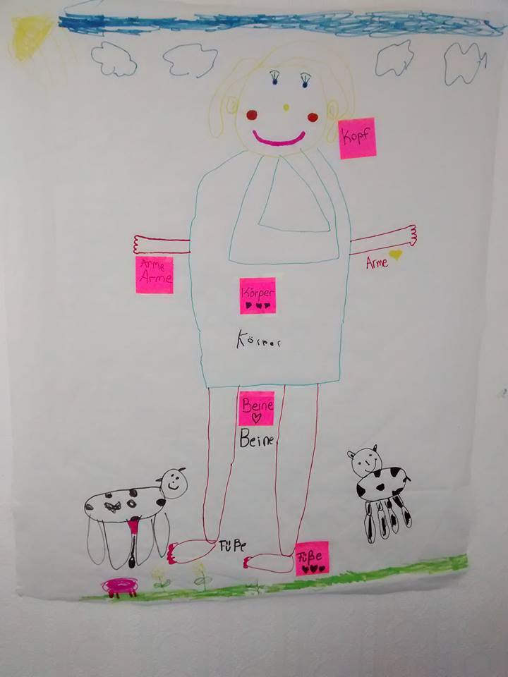 The face (Das Gesicht) and the body ( Der Körper) – BeeGerman